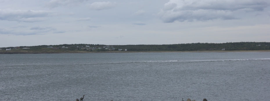 Seaview Manor - Home